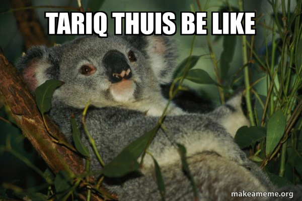 tariq thuis be like - Laid Back Koala Meme Generator