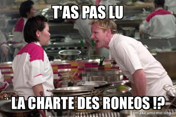 T'AS PAS LU LA CHARTE DES RONEOS !? - Gordon Ramsay Meme Generator
