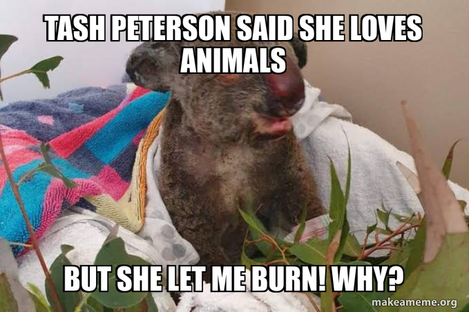 Tash peterson said she loves animals But she let me burn! Why? Meme ...