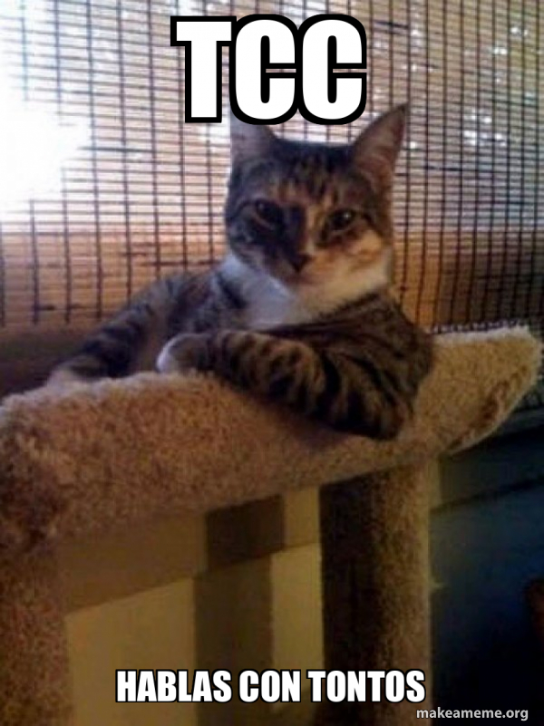TCC Hablas con tontos - The Most Interesting Cat in the World Meme ...
