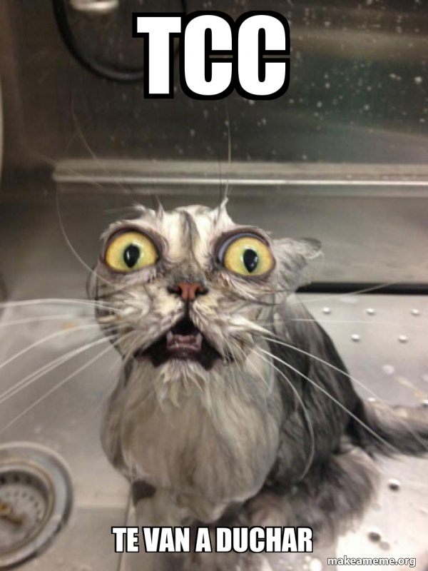TCC Te van a duchar - Cat bath Meme Generator