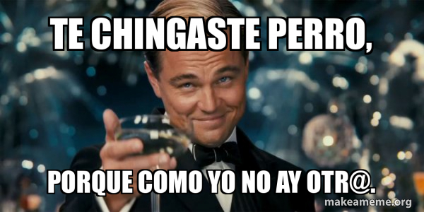 Memes Dicaprio Perro