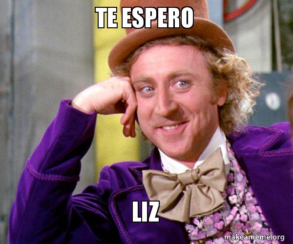 TE ESPERO LIZ - Willy Wonka Sarcasm Meme Meme Generator