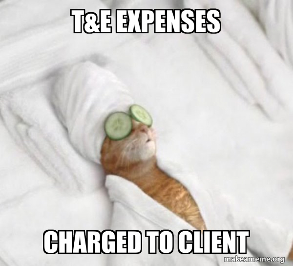 T&E Expenses charged to client - Pampered Cat Meme Meme Generator