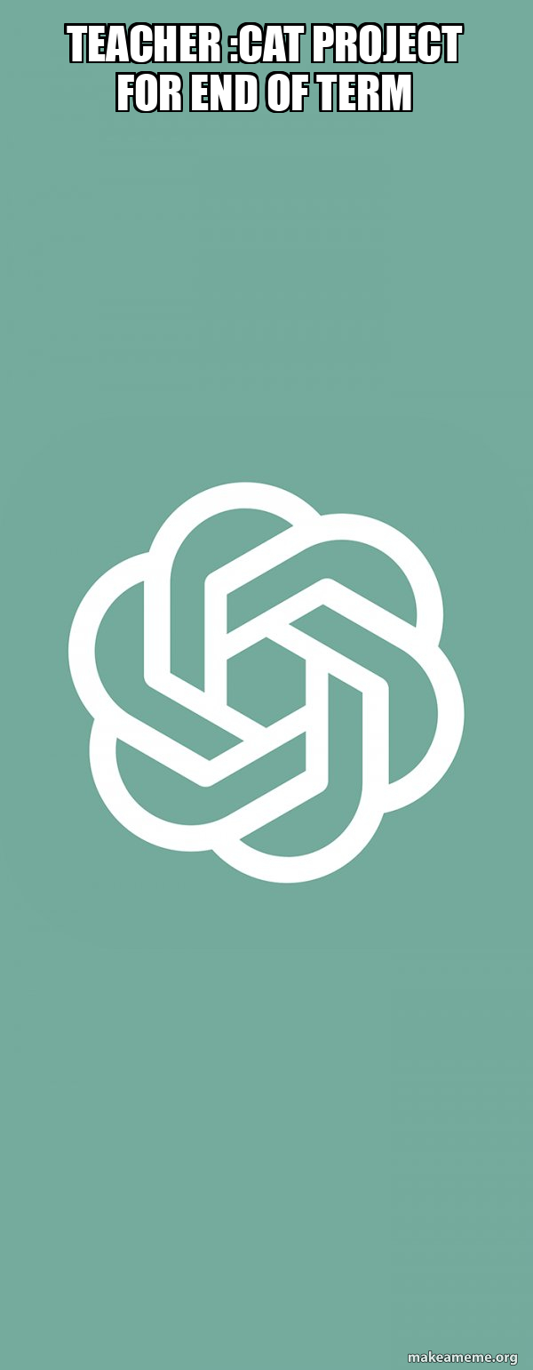 teacher :cat project for end of term - ChatGPT Meme Generator