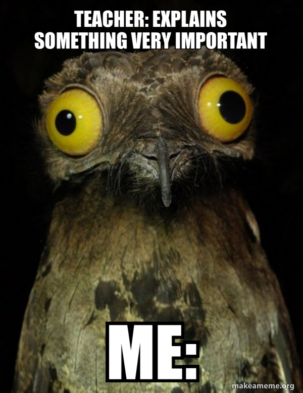 Teacher: explains something very important Me: - Weird Stuff I do Potoo ...