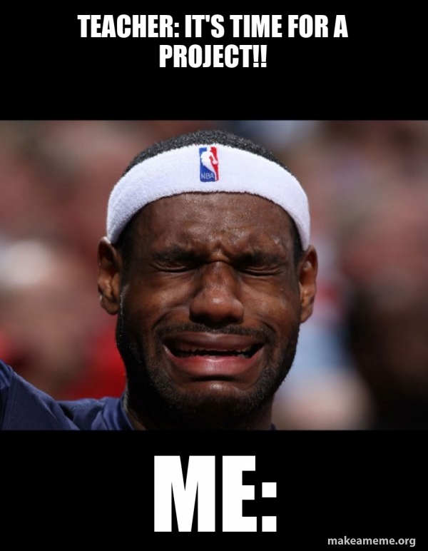 Teacher: It's time for a project!! Me: - Lebron Crying Meme Generator
