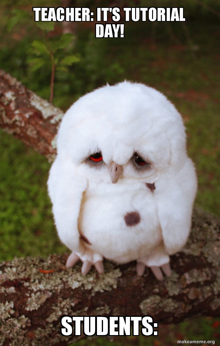 Teacher: It's tutorial day! Students: - Sad Owl Meme Generator