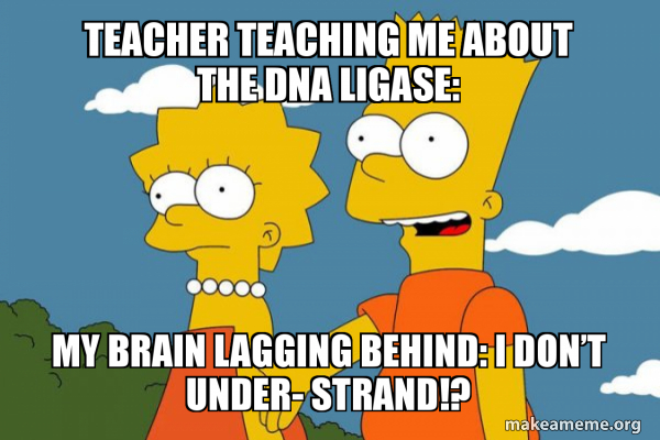Teacher teaching me about the DNA ligase: My brain lagging behind: I ...