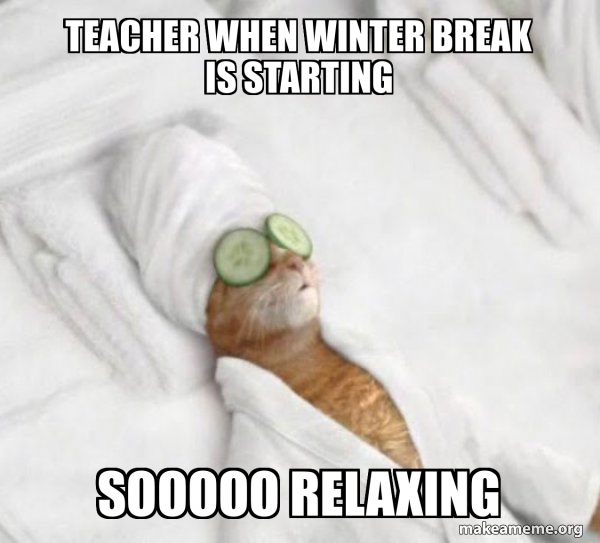 teacher when winter break is starting sooooo relaxing - Pampered Cat ...