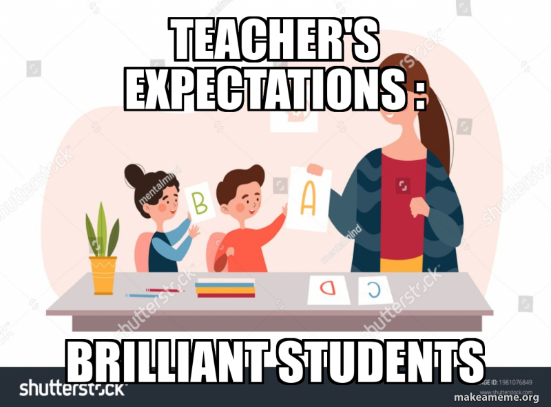 TEACHER'S EXPECTATIONS : brilliant students Meme Generator