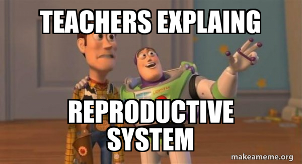teachers explaing reproductive system - Buzz and Woody (Toy Story) Meme ...
