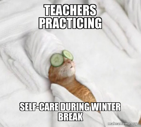 teachers practicing self-care during winter break - Pampered Cat Meme ...