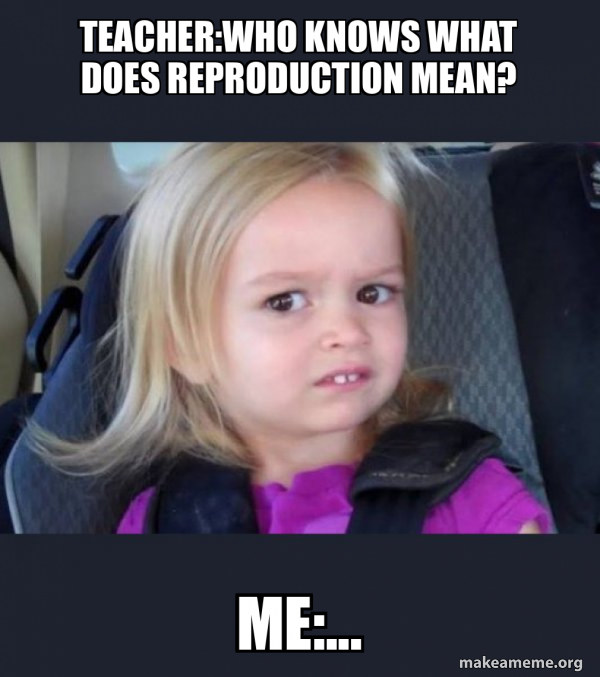 Teacher:who knows what does reproduction Mean? Me:... - Side-Eyes Chloe ...