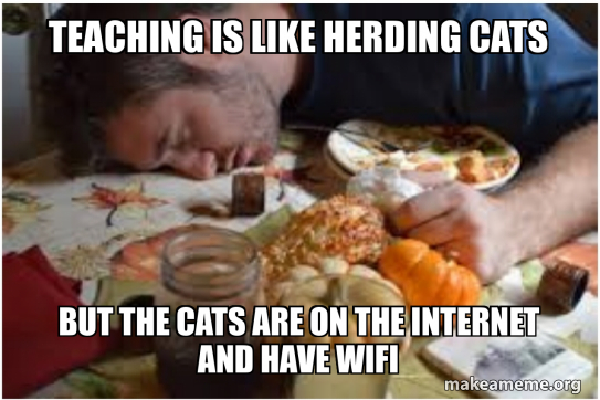 Teaching is like herding cats But the cats are on the internet and have ...