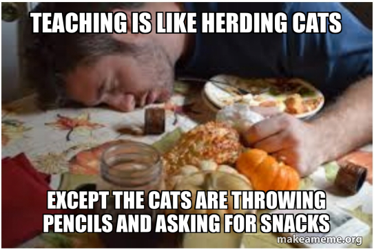 Teaching is like herding cats Except the cats are throwing pencils and ...