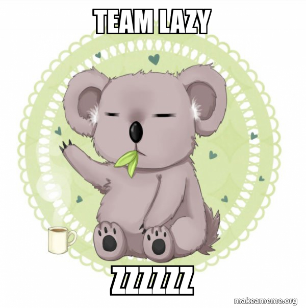team lazy zzzzzz - Aussie Koala doing the night shift Meme Generator