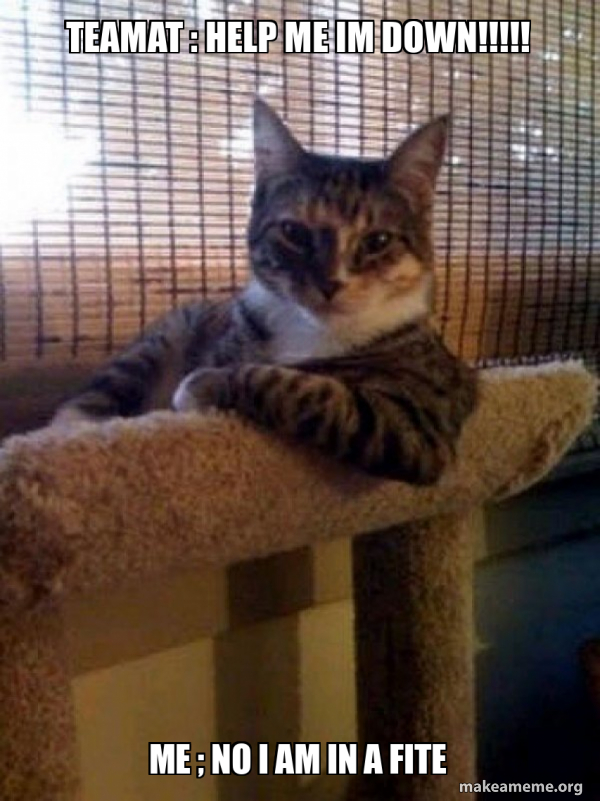 teamat : help me im down!!!!! me ; no i am in a fite - The Most ...