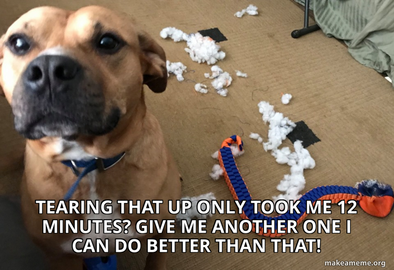 Tearing that up only took me 12 minutes? Give me another one I can do ...