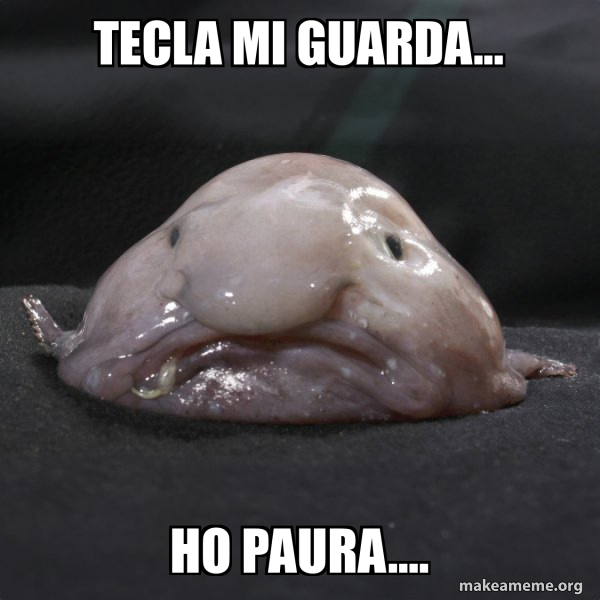 Tecla mi guarda... Ho paura.... - Blobfish Meme Generator