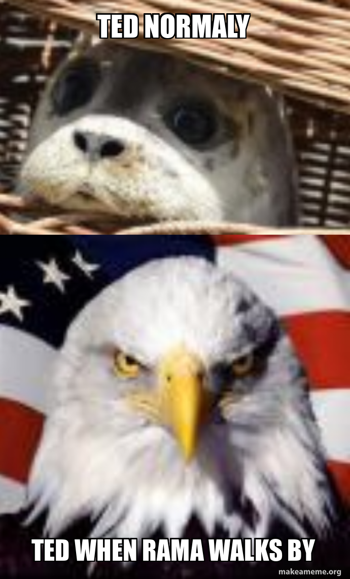 Ted normaly ted wheN rama walks by Meme Generator