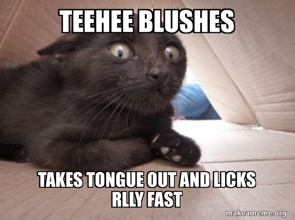 teehee blushes takes tongue out and licks rlly fast - Schitzo Cat Meme ...