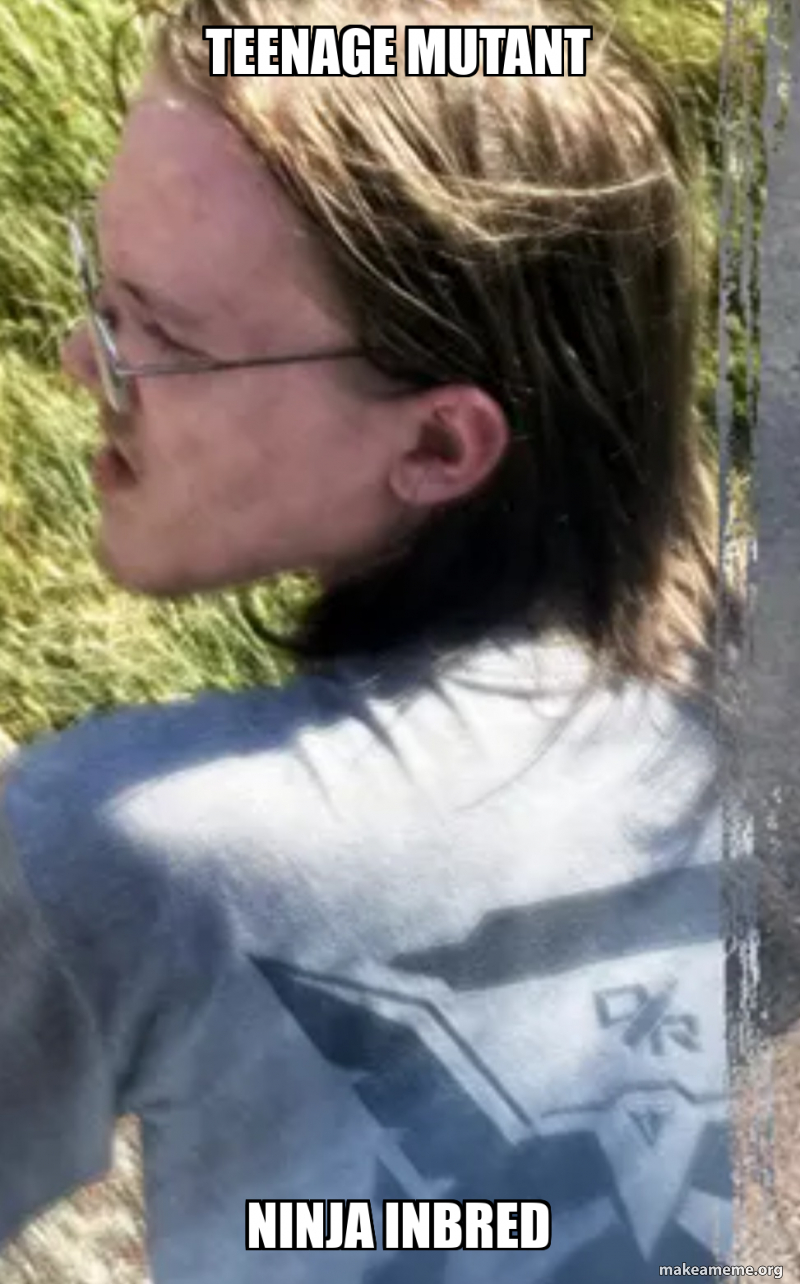 Teenage mutant Ninja inbred Meme Generator