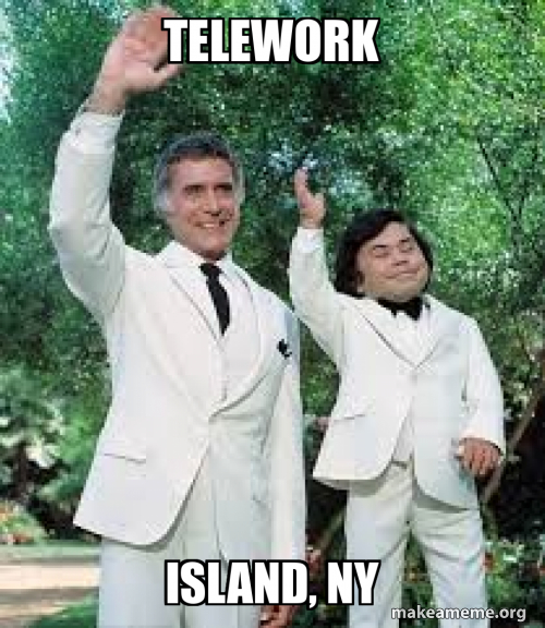 TELEWORK ISLAND, NY Meme Generator