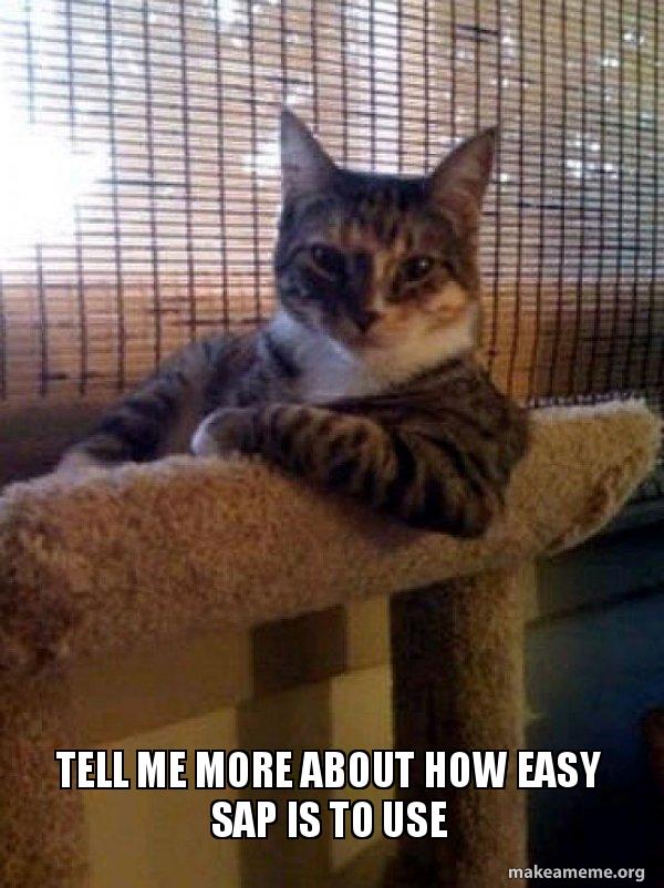 tell me more about how easy SAP is to use - The Most Interesting Cat in ...