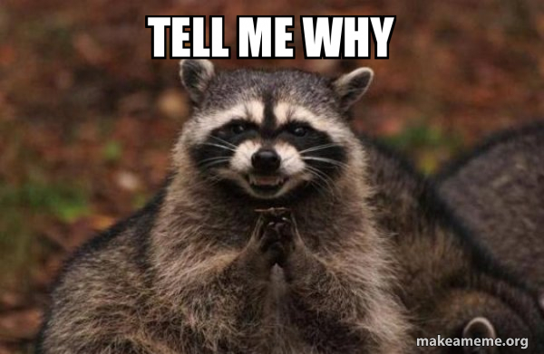 tell me why - Evil Plotting Raccoon Meme Generator