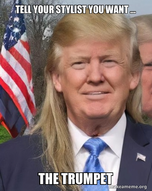 tell your stylist you want ... The trumpet Meme Generator