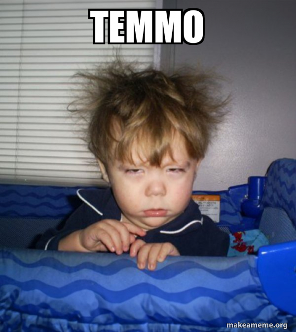 Temmo - Monday Mornings Meme Generator