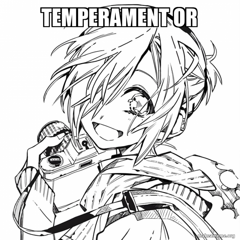 Temperament or Meme Generator