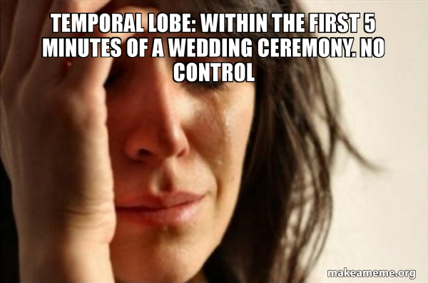 Temporal Lobe: within the first 5 minutes of a wedding ceremony. No ...
