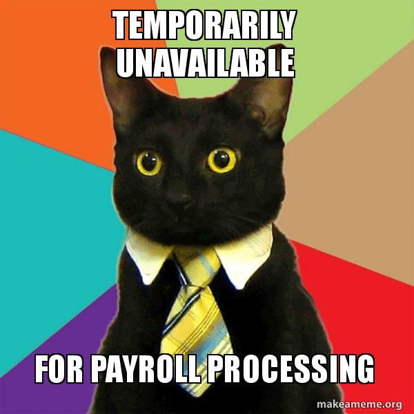 Temporarily Unavailable For Payroll Processing - Business Cat Meme ...