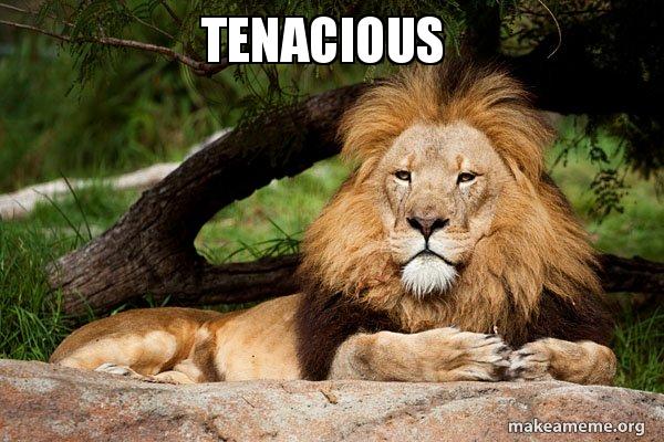 Tenacious Memes Tenacious Memes