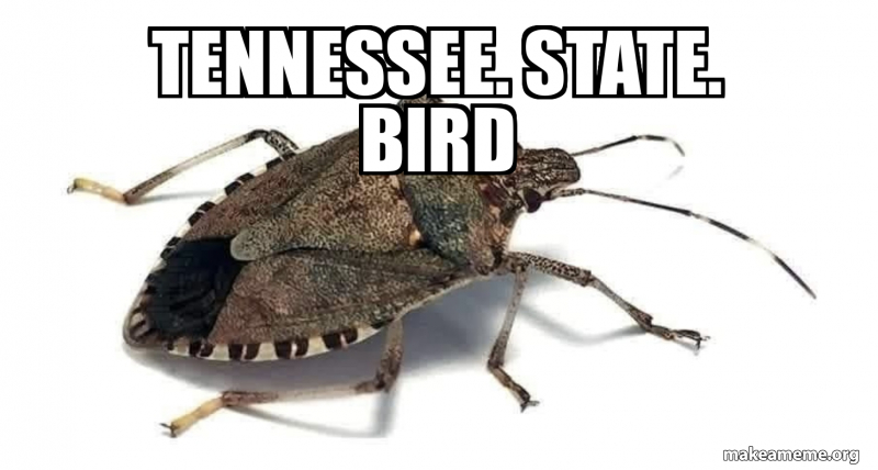 Tennessee. State. Bird Meme Generator