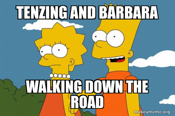 Tenzing and Barbara Walking down the road - Bart and Lisa Chat Meme ...