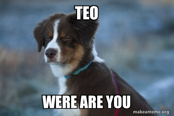 TEO WERE ARE YOU - Unsure Dog Meme Generator
