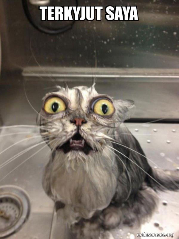 Terkyjut saya - Cat bath Meme Generator