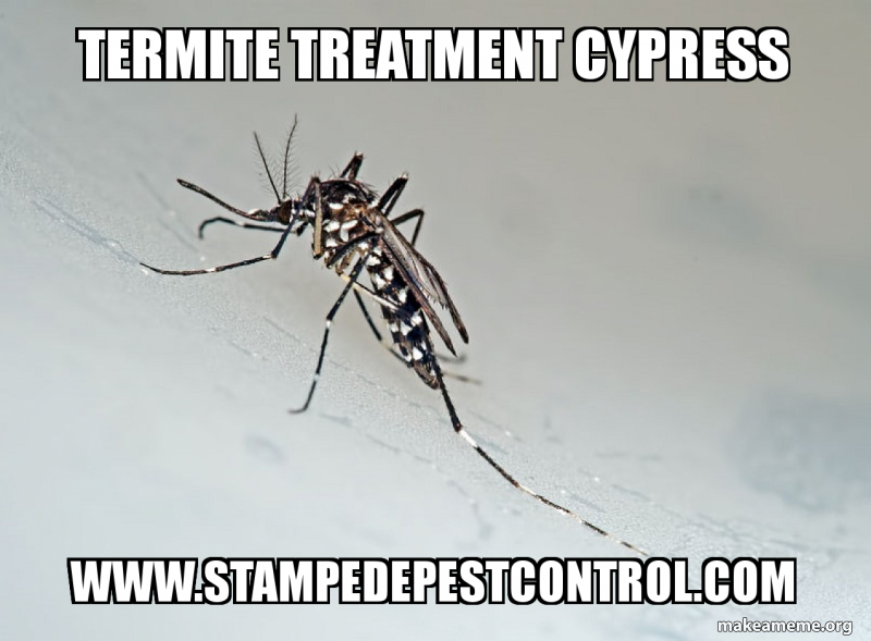 Termite Treatment Cypress www.stampedepestcontrol.com Meme Generator