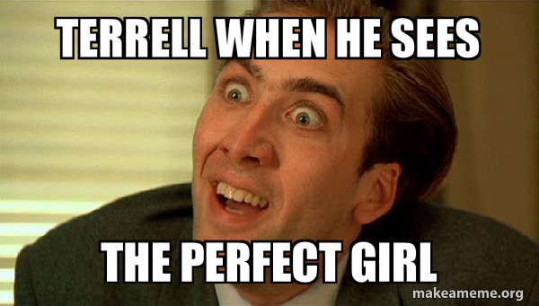 Perfect Girl Meme
