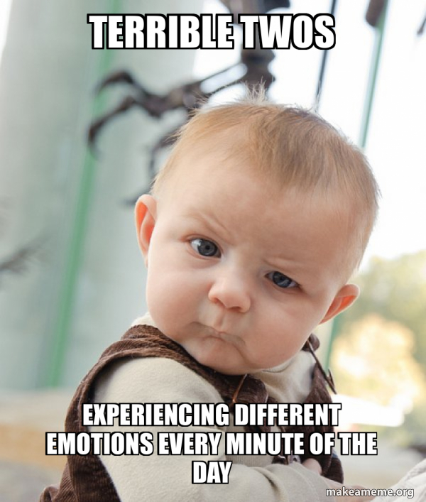 terrible twos experiencing different emotions every minute of the day ...