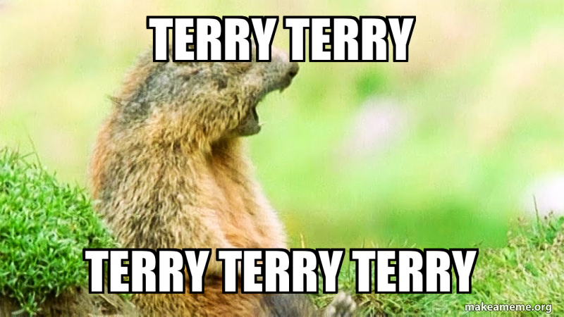 terry terry terry terry terry Meme Generator