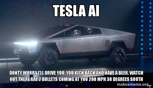 Tesla AI Donty worry I'll drive you, you kick back and have a beer ...