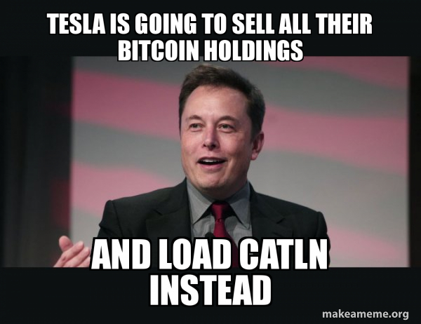 tESLA IS GOING TO SELL ALL THEIR BITCOIN HOLDINGS AND LOAD CATLN ...