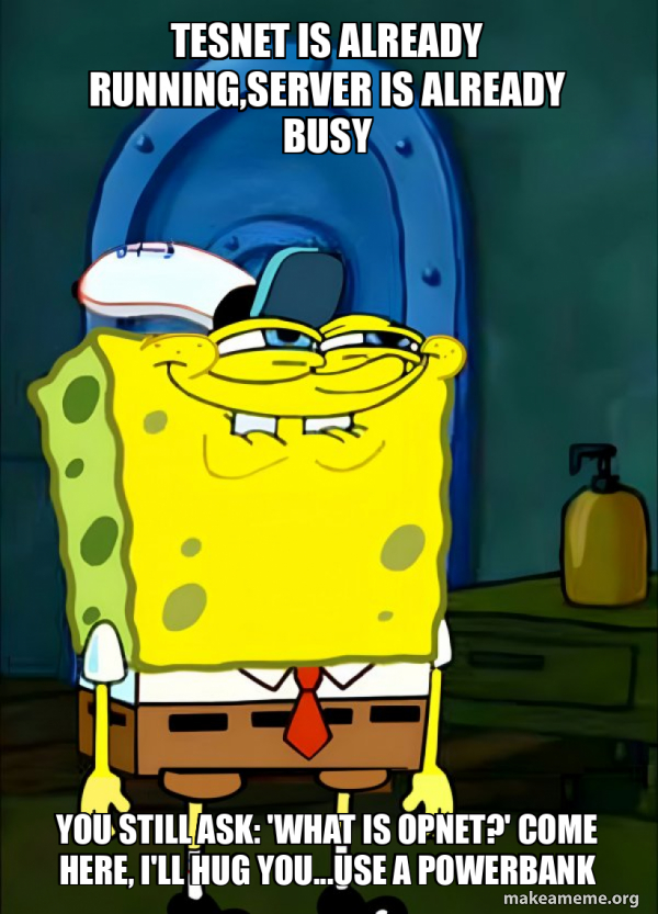 TESNET IS ALREADY RUNNING,SERVER IS ALREADY BUSY YOU STILL ASK: 'WHAT ...