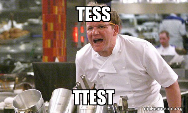 tess ttest - Gordon Ramsay Hell's Kitchen Meme Generator