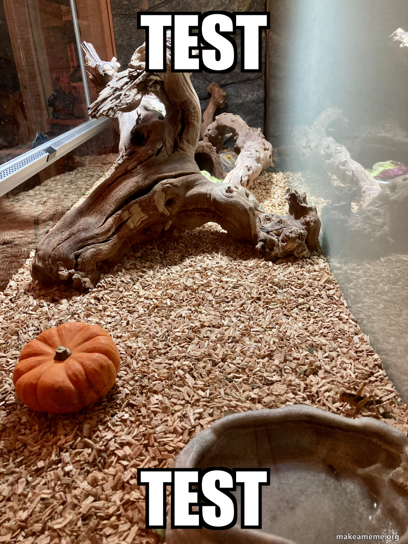 Test Test Meme Generator