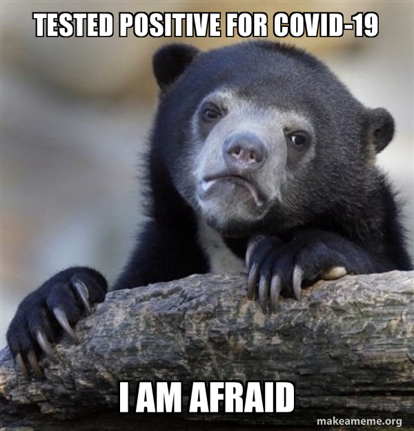 Tested positive for covid-19 I am afraid - Confession Bear Meme Generator